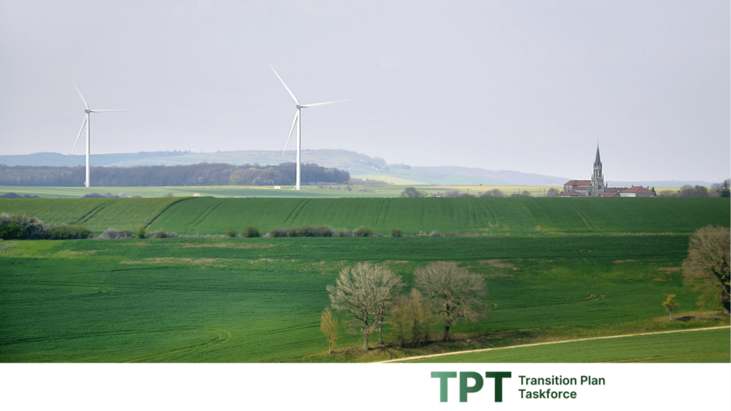 Spotlight: Transition Planning - Chapter Zero