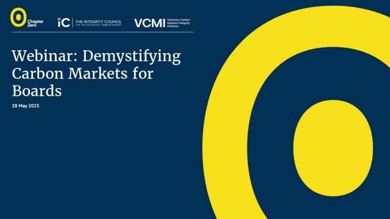 Demystifying Carbon Markets for Boards: Key takeaways - Chapter Zero